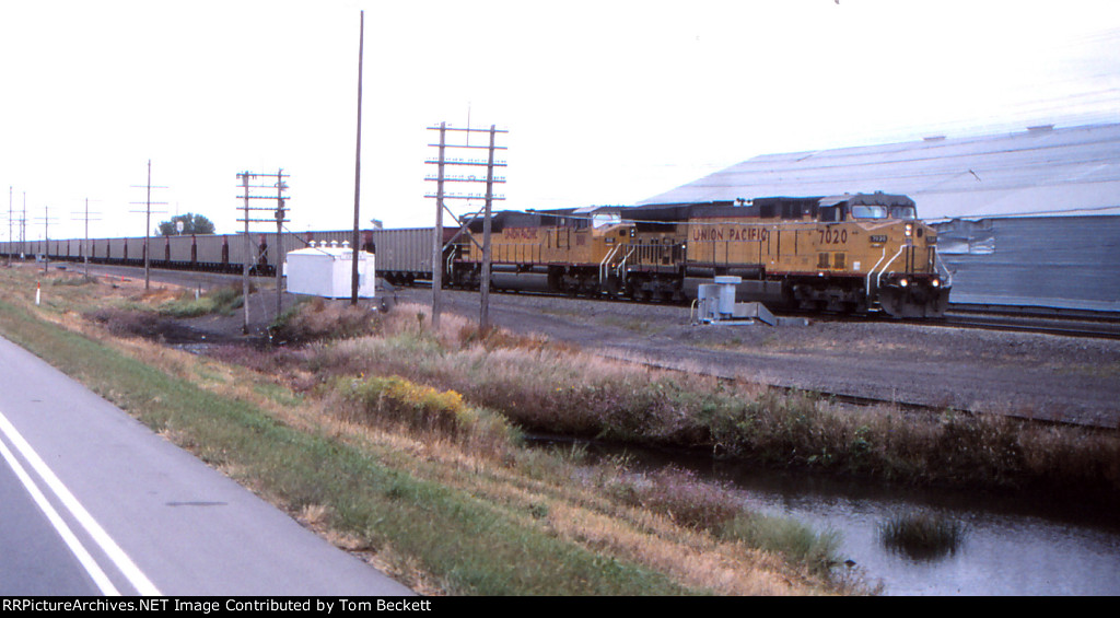 Yet another coal train